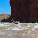 Moab Afternoon Half Day Rafting Trip - Colorado River - What the Reviews Say