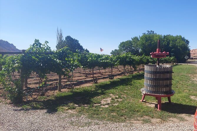 Moab Back Roads, History and Winery E-Bike Tour - A Thorough Look at the Tour