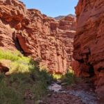 Moab's Slot Canyon Hike: Refreshingly Cool Summer Creek Adventure - Why this Hike Offers Excellent Value