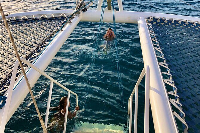 Moanas Waikk Grand Guided Turtle Snorkel & Sailing Adventure - Discovering the Tour’s Details