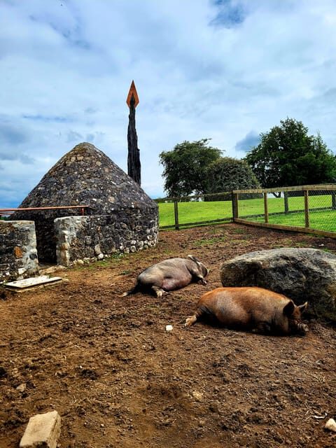 Moate: Dún na Sí Amenity & Heritage Park Admission Ticket - Why This Visit Makes Sense