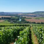 Moet et Chandon Tasting and Fun Private Tour in Champagne - Transportation and Logistics