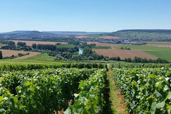 Moet et Chandon Tasting and Fun Private Tour in Champagne - Transportation and Logistics