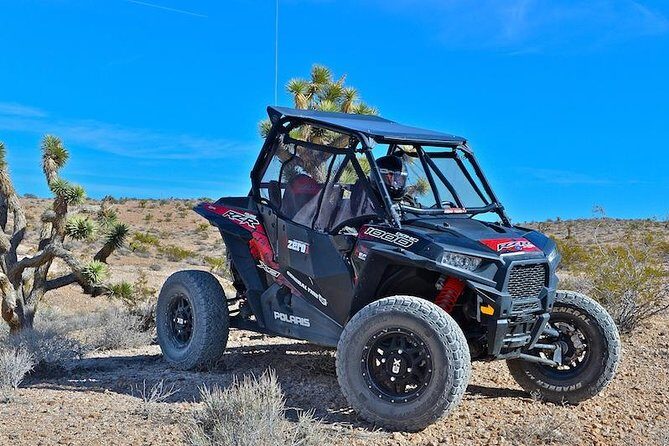 Mojave Desert Off Road RZR Tour in Las Vegas - Detailed Breakdown of the Itinerary