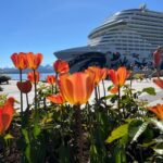 Molde: 2-Hour Guided City Walking Tour - Why This Tour Matters for Your Trip