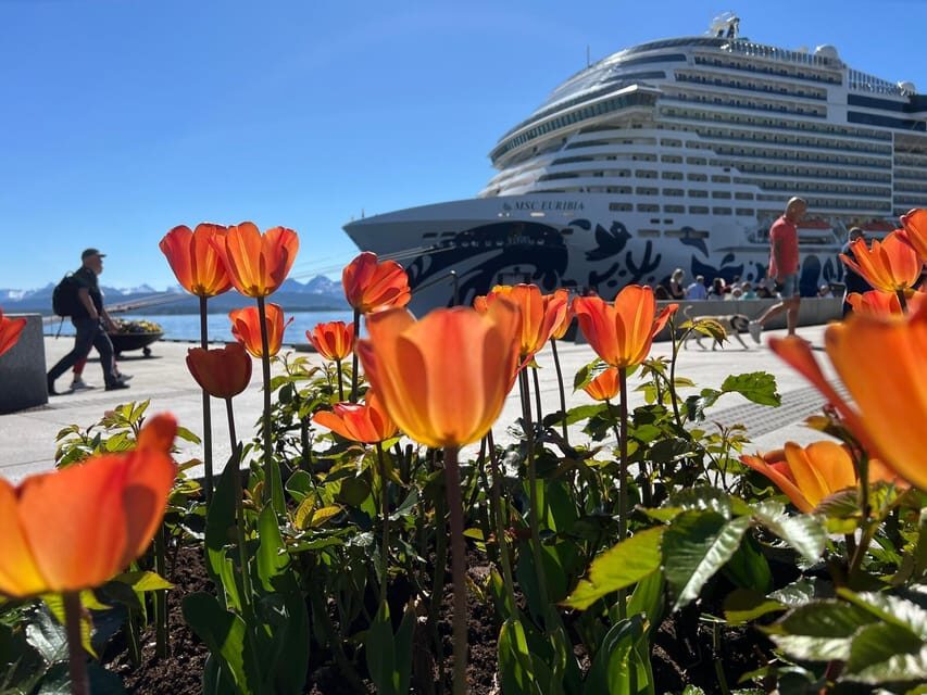 Molde: 2-Hour Guided City Walking Tour - Why This Tour Matters for Your Trip