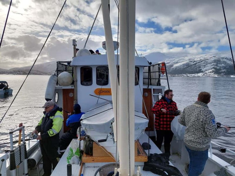 Molde: Boat Trip With Historical Storytelling from Molde - What’s Included and What to Expect
