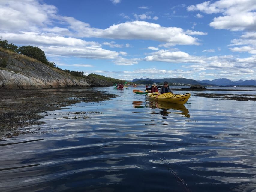 Molde - Guided kayak tour - Wildlife and nature immersion