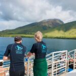 Molokini and Turtle Arches Snorkeling Trip from Ma'alaea Harbor - Turtle Arches: A Close Encounter with Sea Life