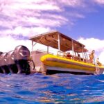 Molokini Crater Zodiac Adventure: Snorkel and Turtle Cove Swim - What Makes This Tour Special? The Details