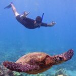 Molokini or Coral Gardens PM Snorkel Aboard Malolo - The Itinerary in Detail