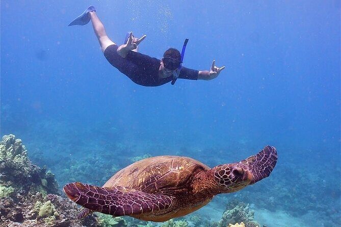 Molokini or Coral Gardens PM Snorkel Aboard Malolo - The Itinerary in Detail
