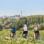 Mons : City Center Bike Rental for Sightseeing & Exploring - Starting Point & What to Expect