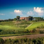 Montalcino Castle and Vineyards tour with tasting - The Tasting Experience: Three Signature Wines and Local Nibbles