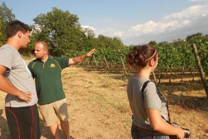 Montefalco: Winery and Oil Mill Tour in with Light Lunch - Tasting the Best of Umbrian Products
