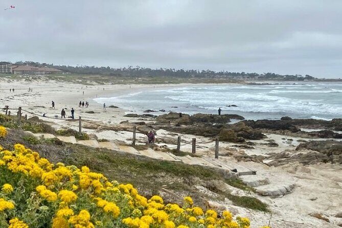 Monterey Bay Famous Dog Friendly Electric Bike and Sidecar Tour - What Makes This Tour Stand Out
