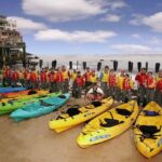 Monterey Bay Full-Day Kayak Rental: Otters, Seals and Sea Lions - The Cost and Its Value