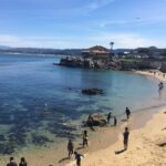Monterey, Carmel and 17-Mile Drive: Full Day Tour from SF - The Coastal Highlights