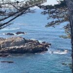 Monterey Carmel Big Sur Pebble Beach by Luxury Vehicle 5 hrs~ - Authentic Traveler Experiences and Insights