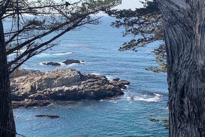 Monterey Carmel Big Sur Pebble Beach by Luxury Vehicle 5 hrs~ - Authentic Traveler Experiences and Insights