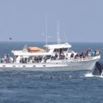 Monterey: Monterey Bay Dolphin and Whale Watching Boat Tour - The Itinerary: What You’ll Probably See and Experience