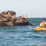 Monterey: Pebble Beach Kayak Tour - What Makes the Pebble Beach Kayak Tour Special