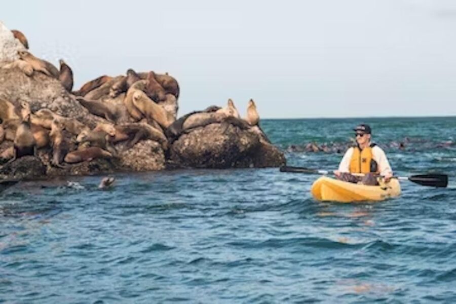 Monterey: Pebble Beach Kayak Tour - What Makes the Pebble Beach Kayak Tour Special