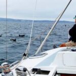 Monterey: Private Whale Watching/Sailing Tour for 6 - Why You Should Consider This Tour