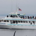 Monterey: Whale Watching Cruise - An In-Depth Look at the Experience