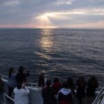 Monterey Whale Watching Tour - Practical Tips for Your Trip