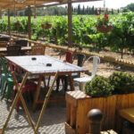 Montserrat & Winery Visit Tour with Traditional Farmhouse Lunch - In-Depth Look at the Itinerary