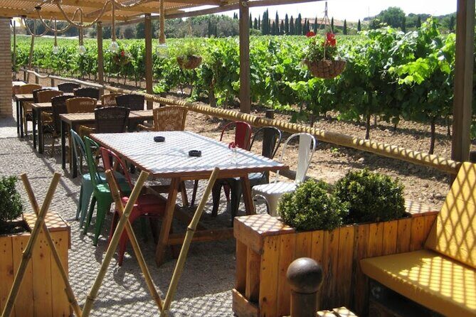 Montserrat & Winery Visit Tour with Traditional Farmhouse Lunch - In-Depth Look at the Itinerary