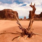 Monument Valley: 3-Hour Sunrise Tour with Navajo Guide - The Itinerary in Detail