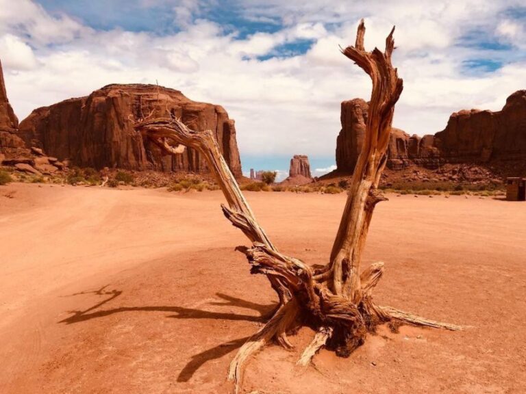 Monument Valley: 3-Hour Sunrise Tour with Navajo Guide - The Itinerary in Detail