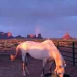 Monument Valley: Horseback Adventure Tour - The Allure of the Horseback Tour in Monument Valley