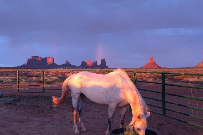Monument Valley: Horseback Adventure Tour - The Allure of the Horseback Tour in Monument Valley