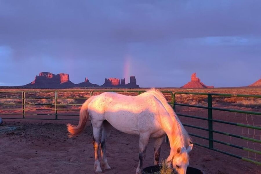 Monument Valley: Horseback Adventure Tour - The Allure of the Horseback Tour in Monument Valley