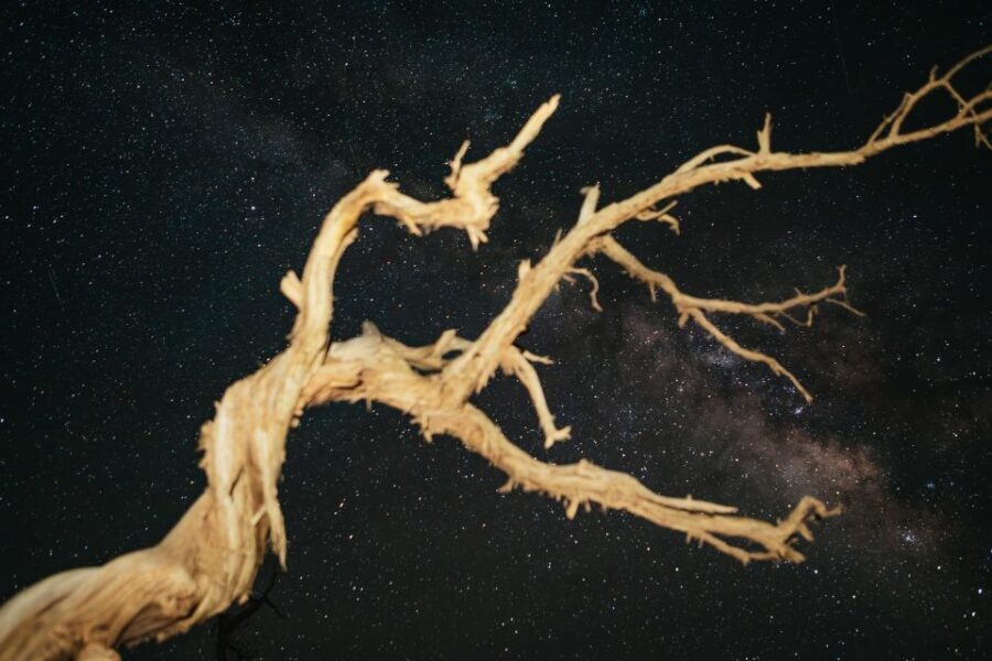 Monument Valley: Stargazing Tour - An In-Depth Look at the Experience
