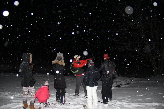 Moonlight Cabin Snowshoe Tour - The Flavor of Vermont: Food, Drink, and Atmosphere