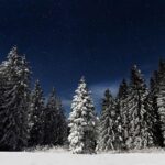 Moonlight Snowshoe Hike - Is It Worth It?
