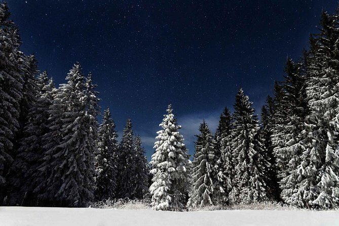 Moonlight Snowshoe Hike - Is It Worth It?