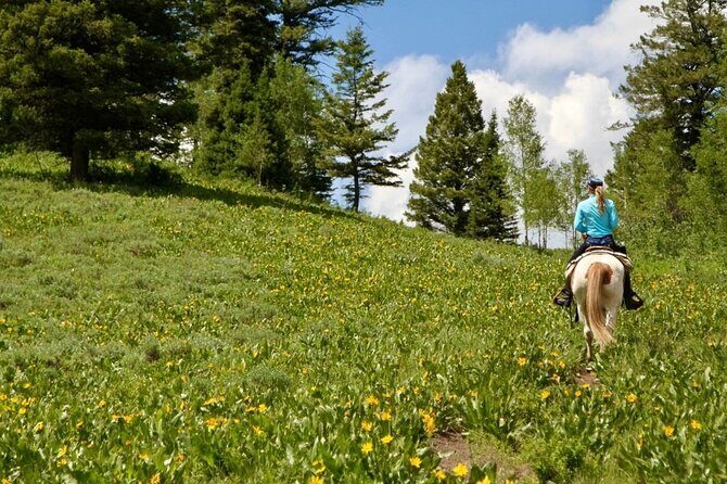 Moose Meadow Breakfast Ride - Exploring the Experience in Detail