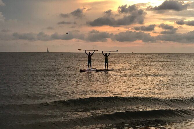 MORNING TOUR PaddleBoard or kayak - The Realities of the Experience: What Travelers Have Said