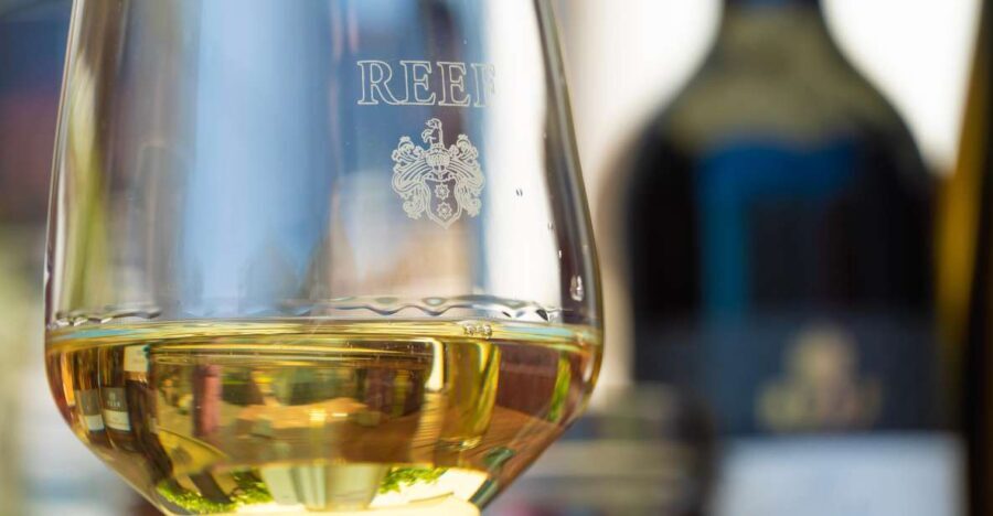 Mosel: Accompanied wine tasting directly at the winery - An In-Depth Look at the Mosel Winery Tasting Experience