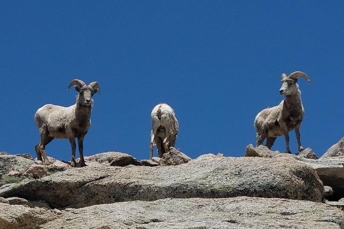 Mount Blue Sky 14,265ft Summit and Glacial Lakes - Why Travelers Rave About This Tour