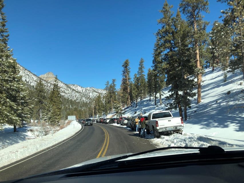 Mount Charleston Driving Adventure: Escape to Nature - Who This Tour Suits Best