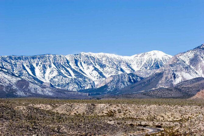 Mount Charleston Tour - FAQs about the Mount Charleston Tour