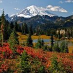 Mount Rainier National Park Day Tour from Seattle - FAQ