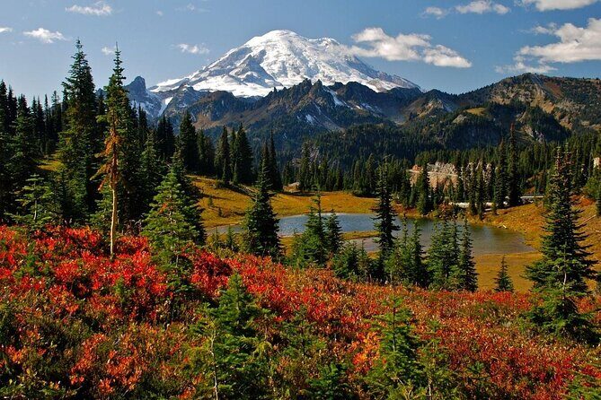 Mount Rainier National Park Day Tour from Seattle - FAQ