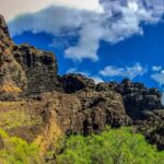Mount Teide and Teno Country Park Private Tour - The Transport and Guide Experience